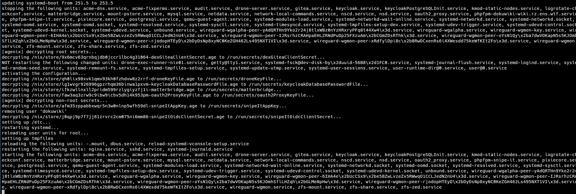 Raito Bezarius (@raito@nixos.paris) - NixOS Paris server